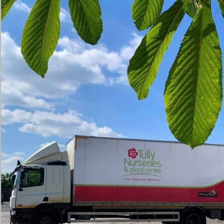 Tully Nurseries | About Tully Nurseries