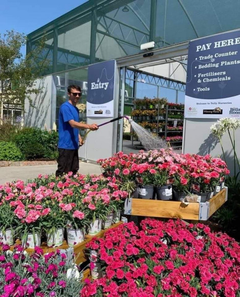 Tully Nurseries | About Tully Nurseries