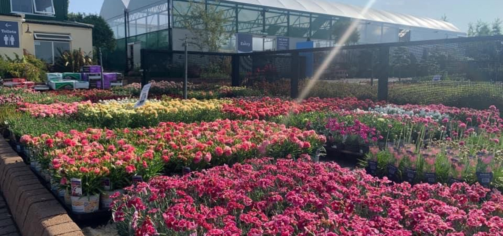 Tully Nurseries | Ireland’s premier suppliers of plants & plant centres
