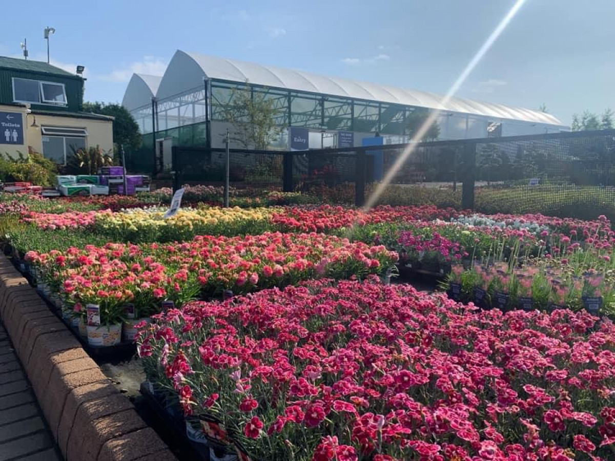 Tully Nurseries | Ireland’s premier suppliers of plants & plant centres