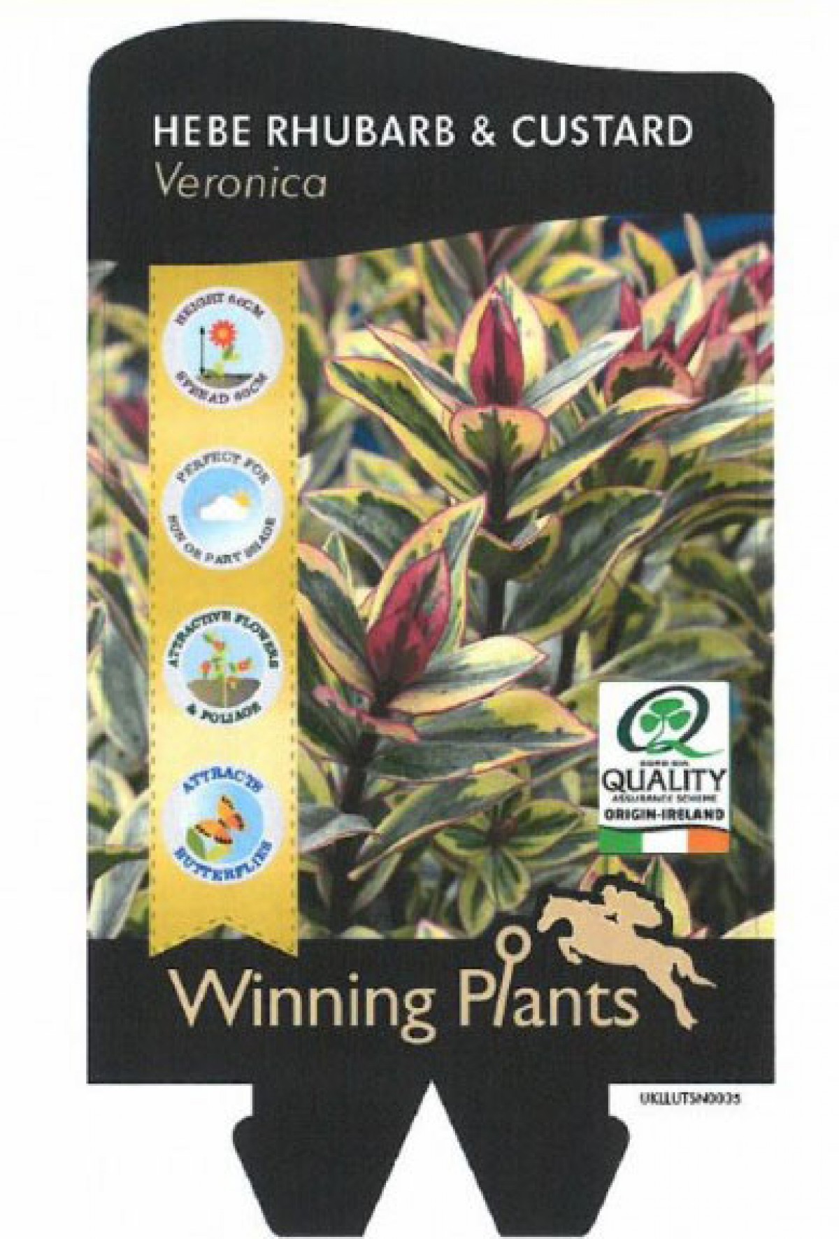 Tully Nurseries | Bord Bia Quality Program