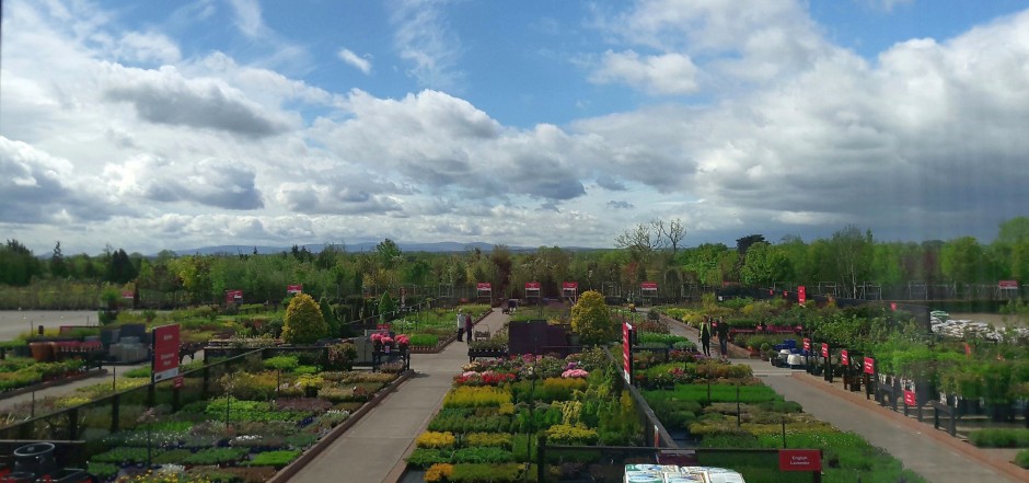 Tully Nurseries | Company Profile